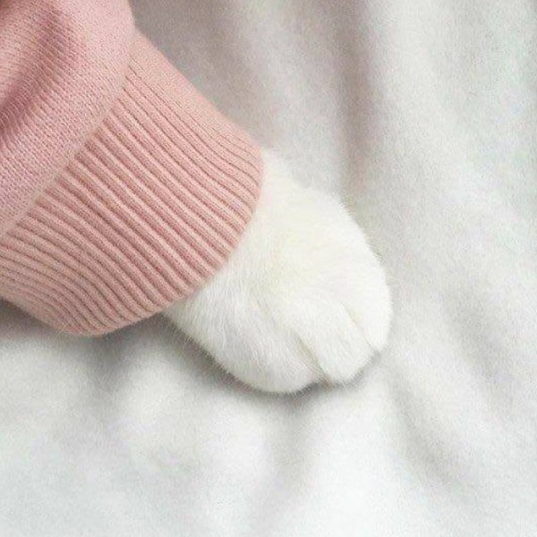 50s Circle Skirt / Rik Rak Red Full Square Poodle Dance Skirt / XS XXS ...