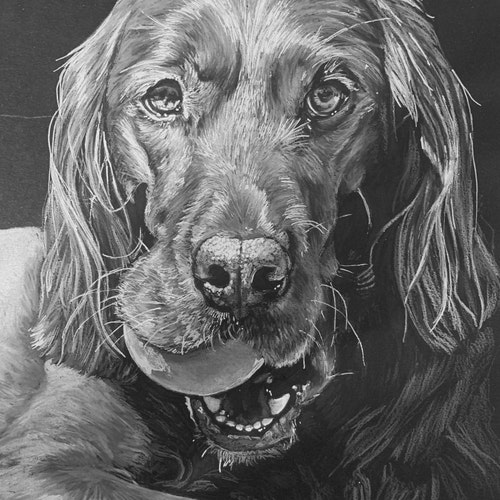 PaytonClimerArt - Etsy