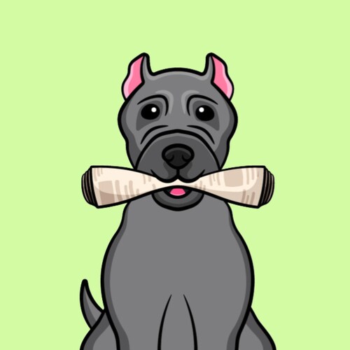 paperchasingcollars - Etsy UK