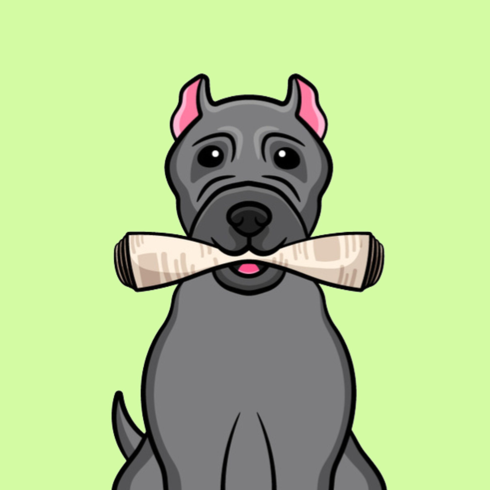 paperchasingcollars - Etsy