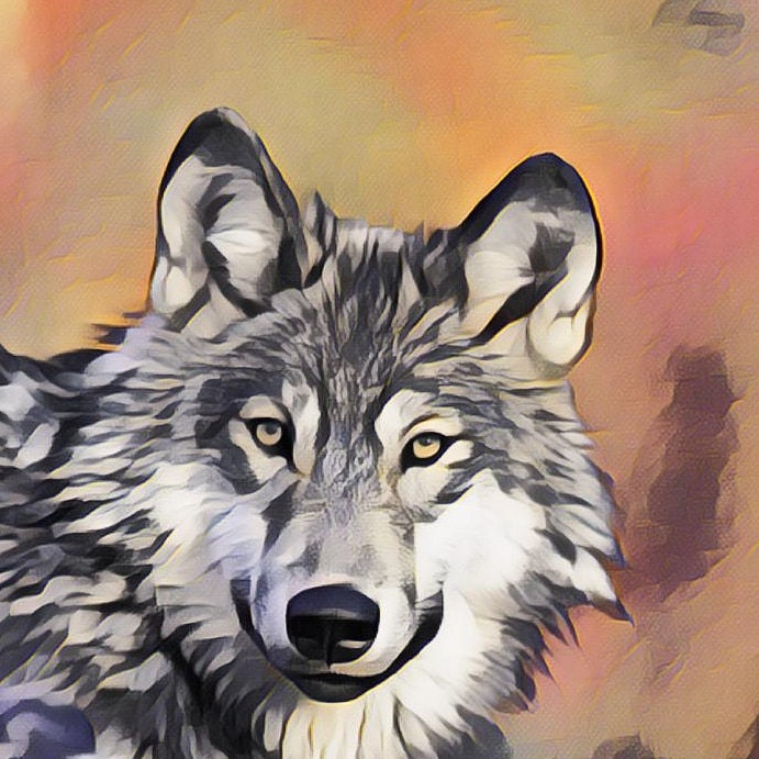 DyerWolfStore - Etsy