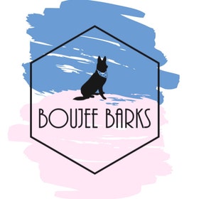 Boujee Barks Unique Bandannas Dog Collars Leashes by BoujeeBarks
