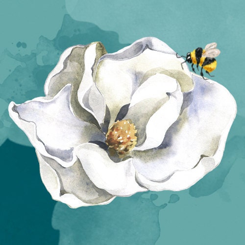 MagnoliaCoastStudio - Etsy