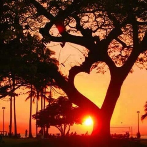 CountryOutbackCrafts - Etsy