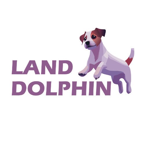 LandDolphinLLC - Etsy