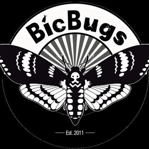 Riker Mount ONE Display Case Frame Shadow Box Choose Size - Etsy