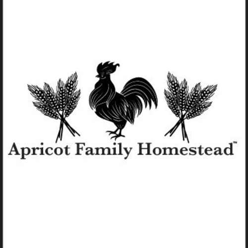 ApricotFamilyHome - Etsy