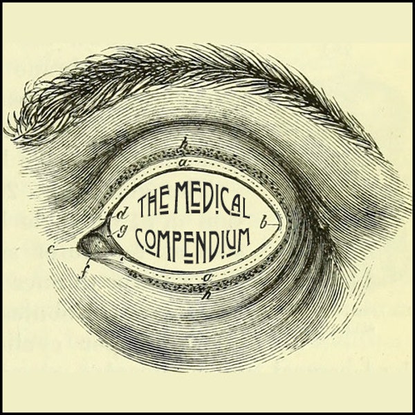 Antique Male Perineum Print Male Anatomy Print Genitals Anus Regio ...