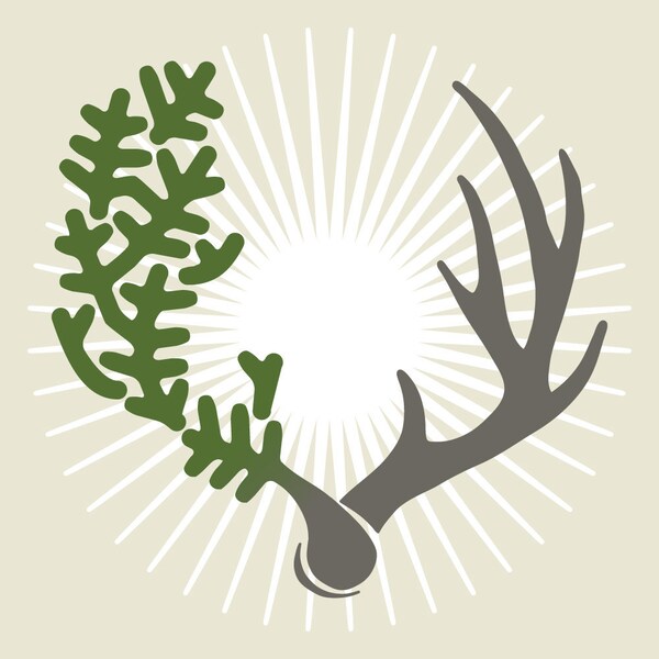 Moth Patch Luna Moth Patch Moon Phase Embroidered Patch Patch for ...