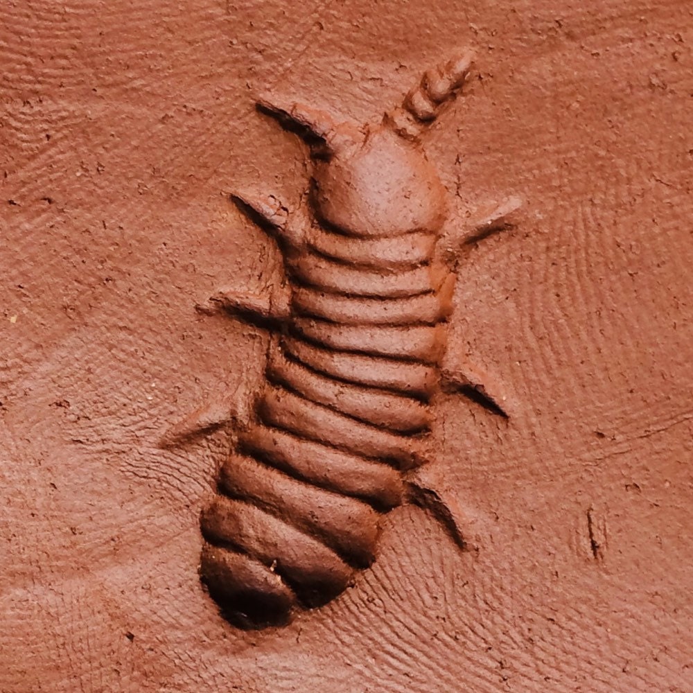 SpringtailCeramics - Etsy