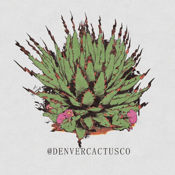 Opuntia Polyacantha X Cymochila 'peter Pan' COLD HARDY CACTUS - Etsy