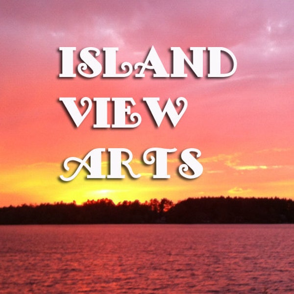 100 Shells, Spectral Bittersweet Clam Shells, Florida Shells - Etsy