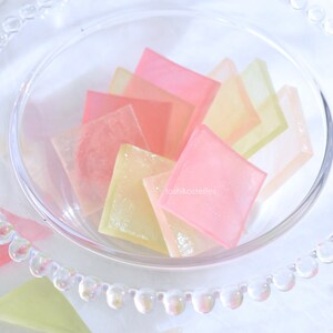 DIY Kit Hanami Dango Mochi Rice Cake Free Shipping 10 Skewers 30 ...