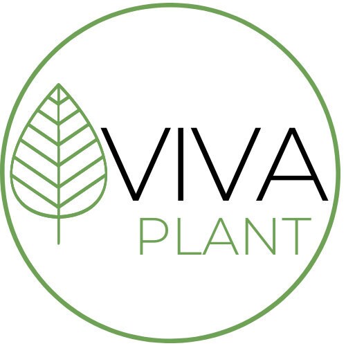 VivaPlant - Etsy