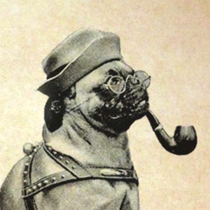 Black Cat Riding Whale Vintage Collage Print Tea Stain Cat Art Cat ...