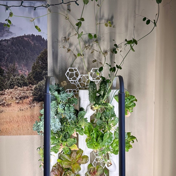 Vinescape Trellis Starter Kit for Gardyn - Etsy