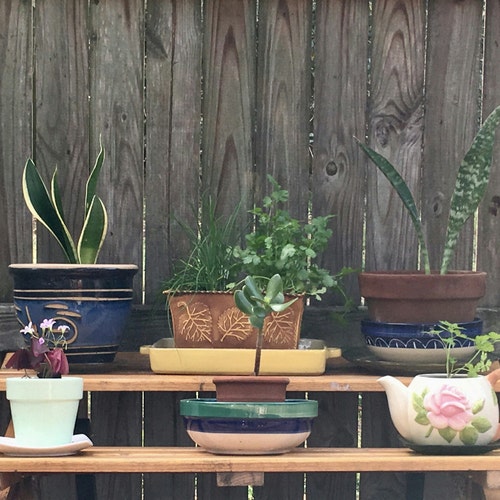 Repurposed recycled and upcycled dumpster by ReclaimedAbundance