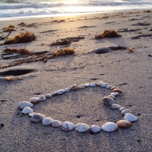 Boho Upcycled/recycled Fabric Boa Scarf Green Ribbon Streamer - Etsy