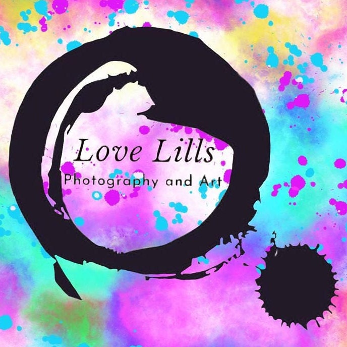 LoveLillsCrafts - Etsy