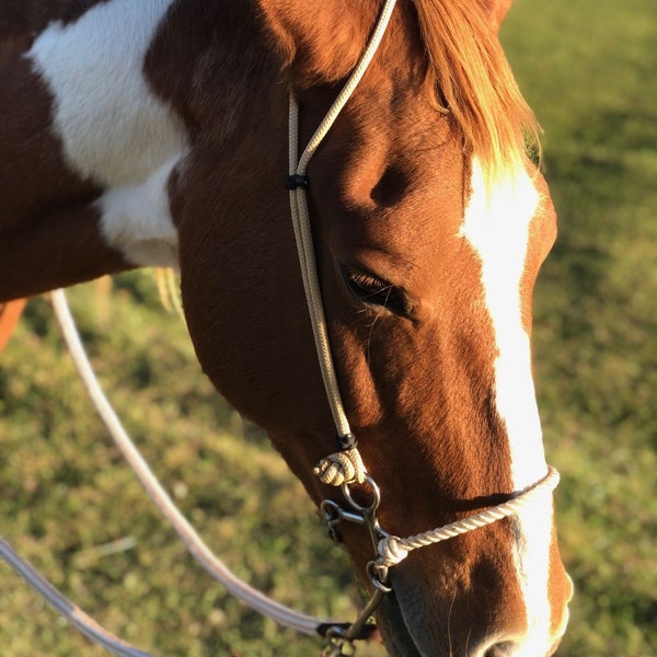 The Big Boy Loping Hackamore - Etsy