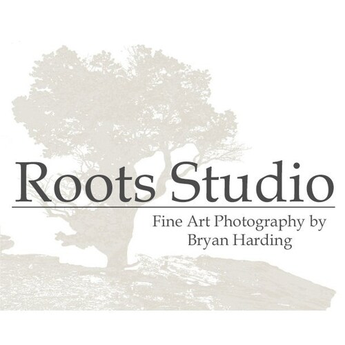 RootsStudioPhoto - Etsy