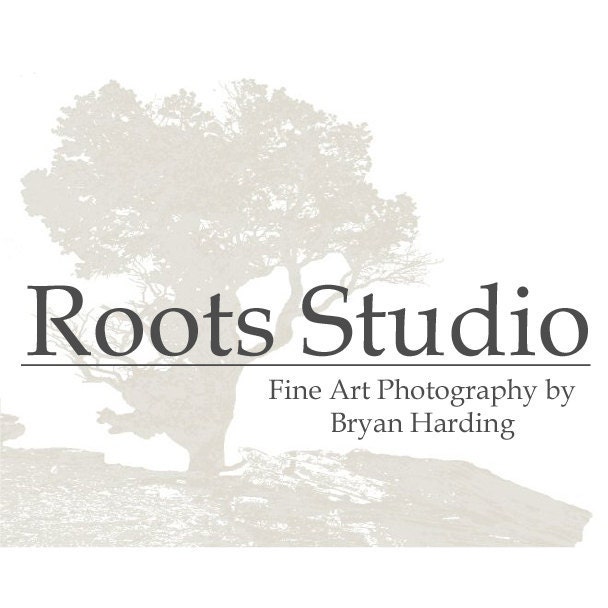 RootsStudioPhoto - Etsy