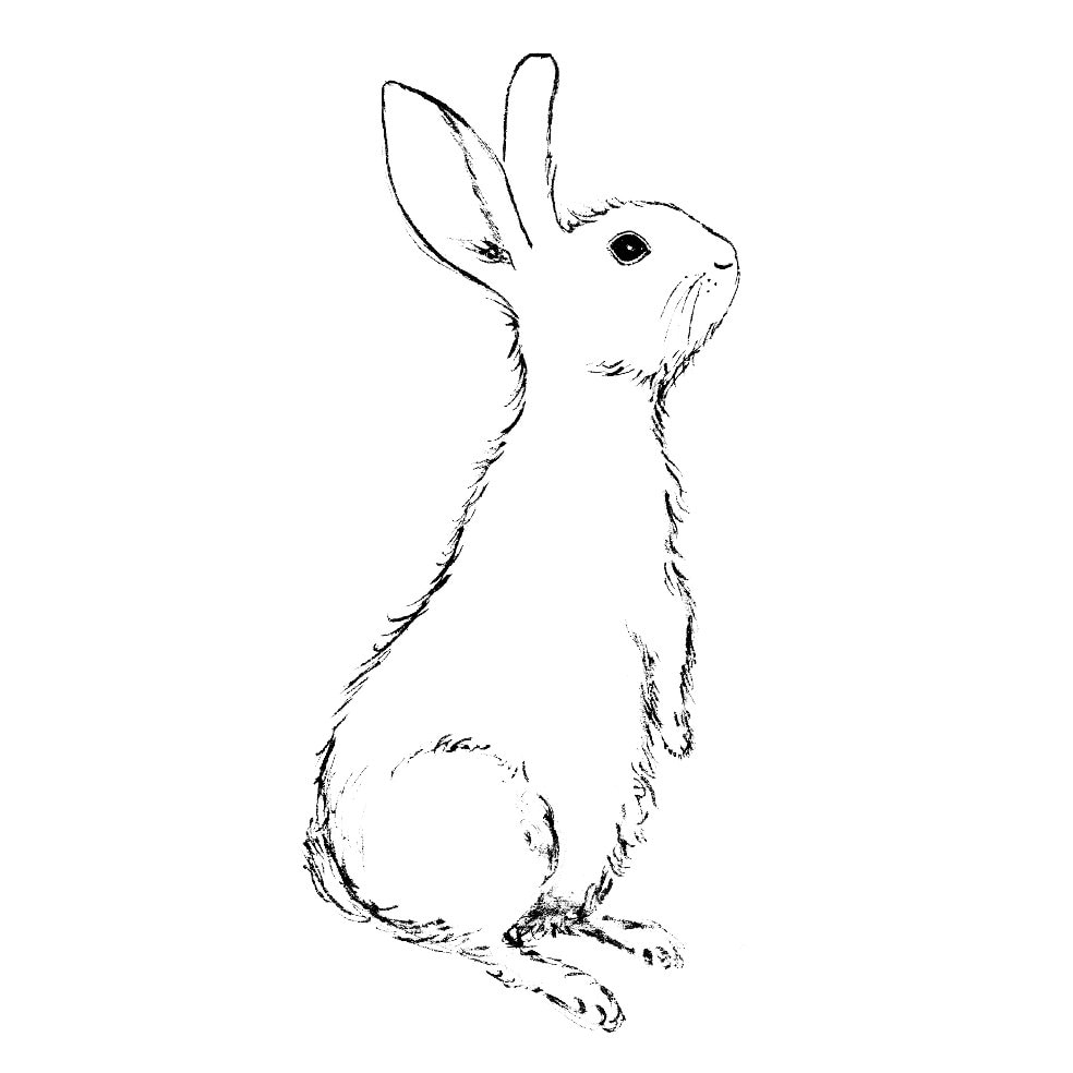 TogandPini - Etsy Australia