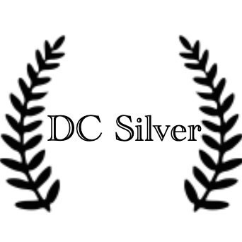 DCSILVERSHOP - Etsy