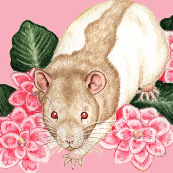 SECONDS Rat A4 Print, Come Fly With Me, Fine Art Print of Two Rats ...