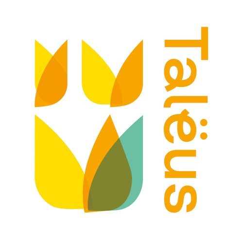 Taleus - Etsy France