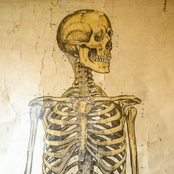 Teletubbies VHS 90s Kids Vhs - Etsy