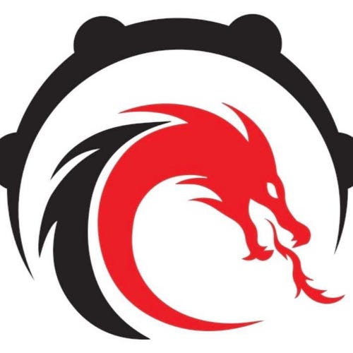 HereBeDragonsRecords - Etsy