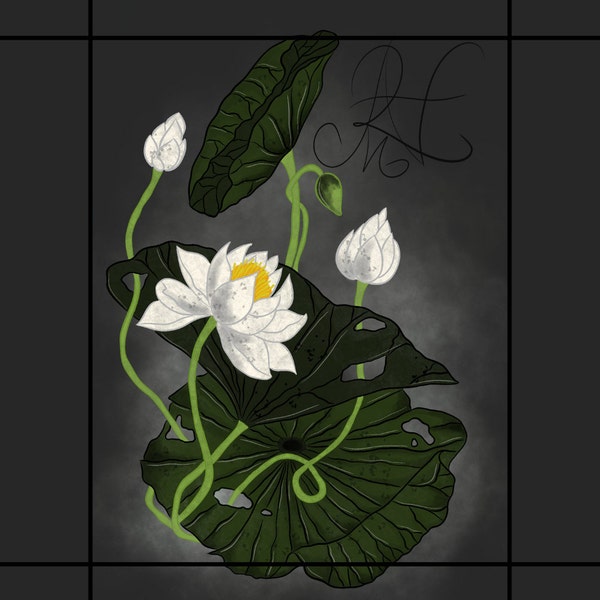 Venus Planetary Magical Correspondences Cosmic Witch grimoire Page BOS ...