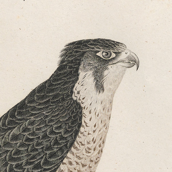 Riverside Tree Moody Wall Art Moody Painting Spring Art Prints Tree ...