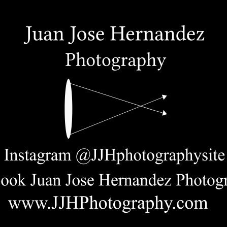 JJHWallArtPrints - Etsy