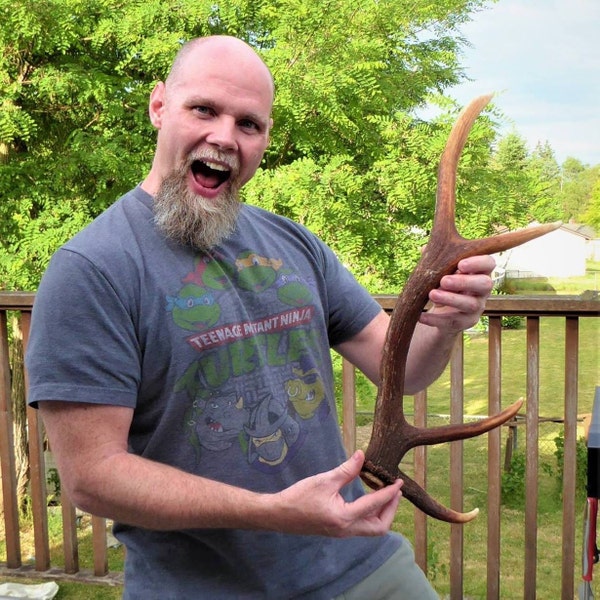 Shave Horse/spoon Mule Woodworking Bench Plans - Etsy