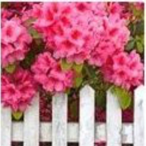 Light Pink Embroidery Floss nm45sf45047 8.7 Yds Pink Stranded Cotton ...