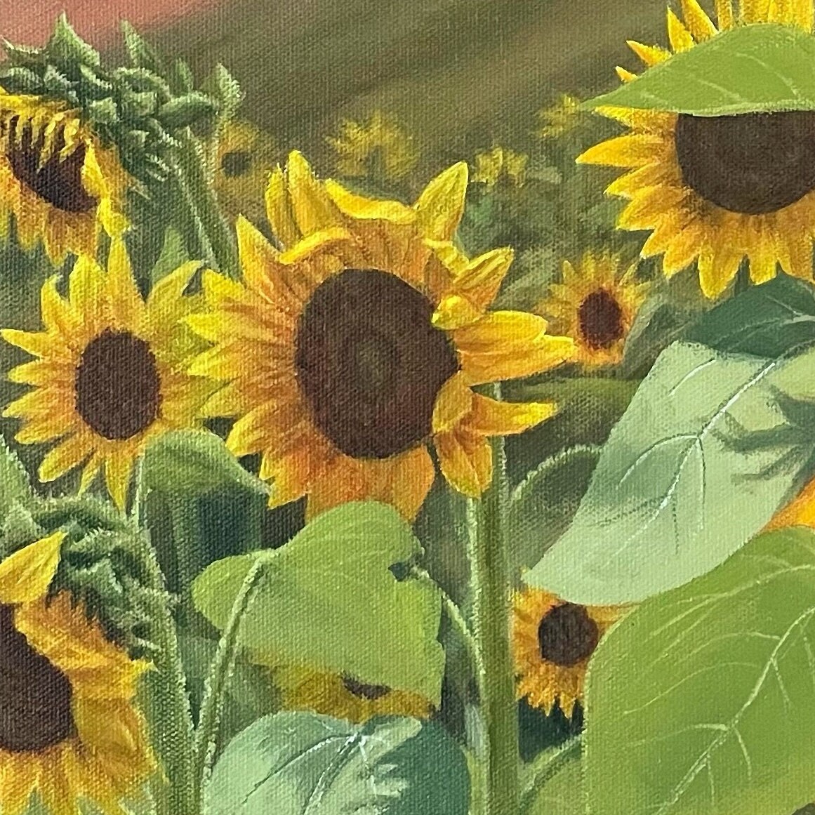 SarahsSunflowers - Etsy
