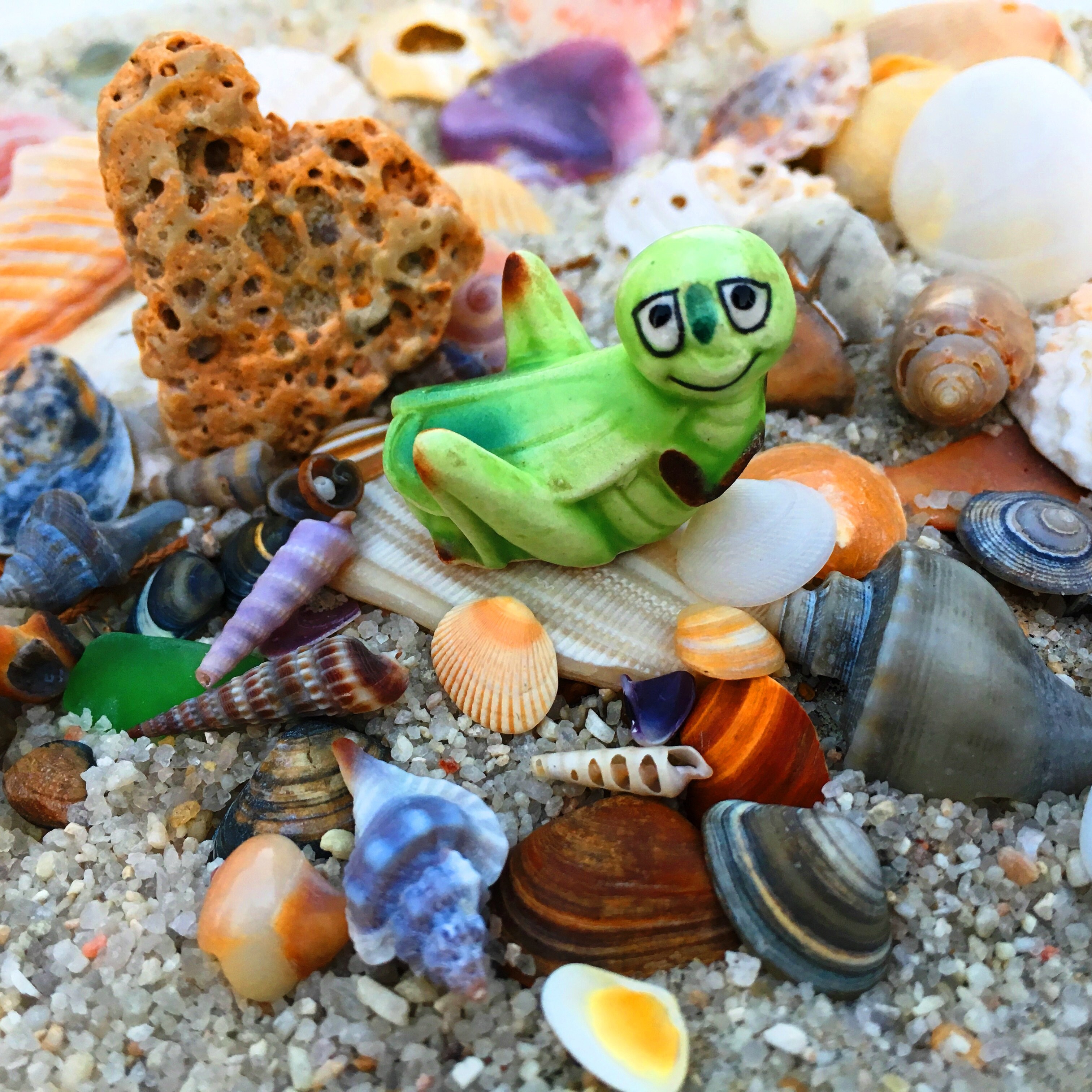 Custom Seashell Creations Made From by FidgetyGrasshopper on Etsy