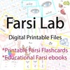 Farsi/persian Numbers Flashcards (1-10) - Etsy