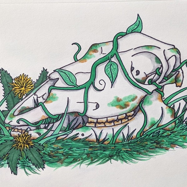 Captured Christmas Spider Christmas Spider Story Fable Holiday ...