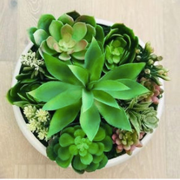 Artificial Succulent - Etsy