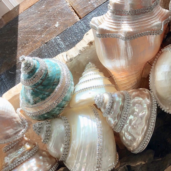 Large Shell Polished Jade Turbo Shell With Pearl Band Embellished With ...