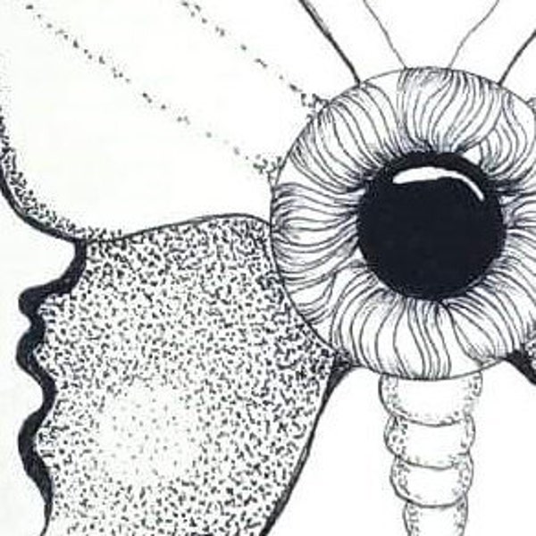 Spider ink Drawing for Inktober 2023 - Etsy
