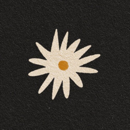 TylerEliseDesigns - Etsy