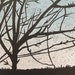 Lino Art, Lino Print, Linocut Art, Landscape Print, Highlands of ...