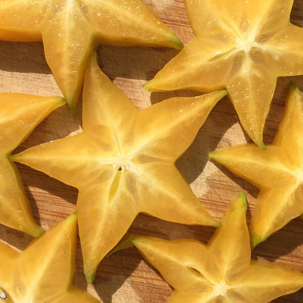 Gamboge Gourka Yellow Mangosteen Garcinia Xanthochymus Fruit Tree ...