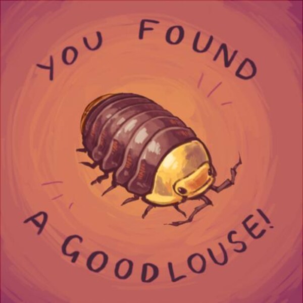 PREORDER Idw/archie Sonic Charms Sally, Scourge, Tangle, Whisper, Surge ...