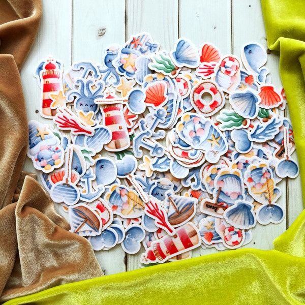 FEMALE FERTILIZATION, Human Anatomy, Educational Toy, Reproductive ...