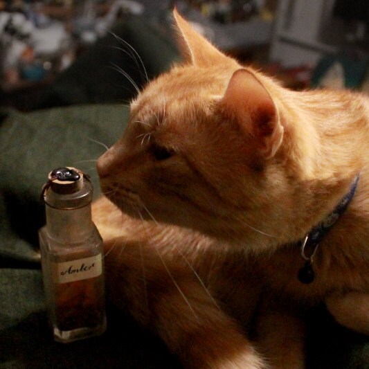 Warhammer Erengrad handdrawn map Kislev Storm of Chaos fantasy map ...